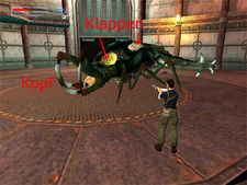 Boaz – WikiRaider.de